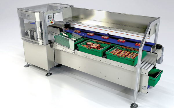 Putting packhouses in control of efficiency | Packaging Scotland