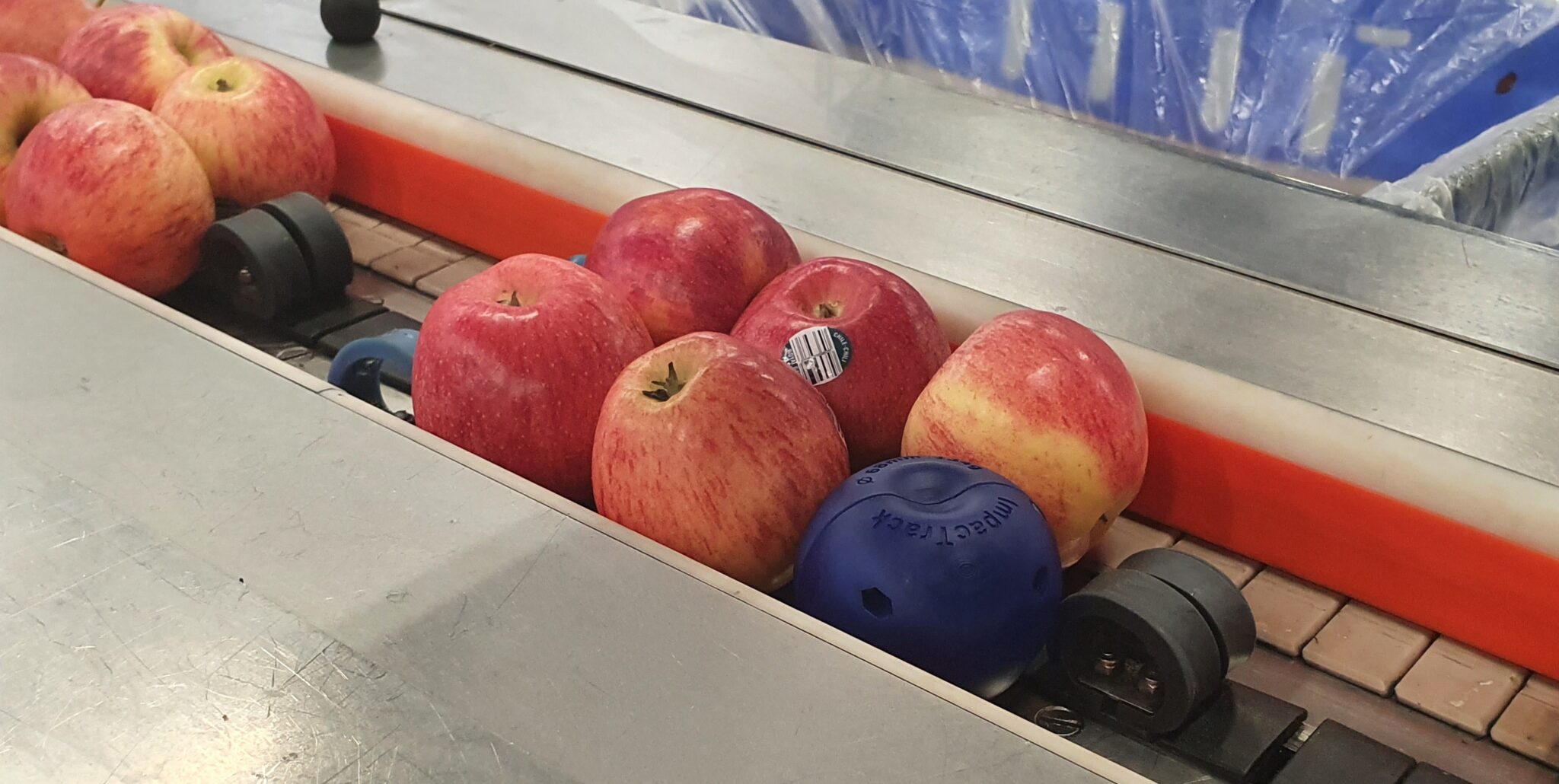 'Electronic apple' helps prevent fruit bruising | Packaging Scotland