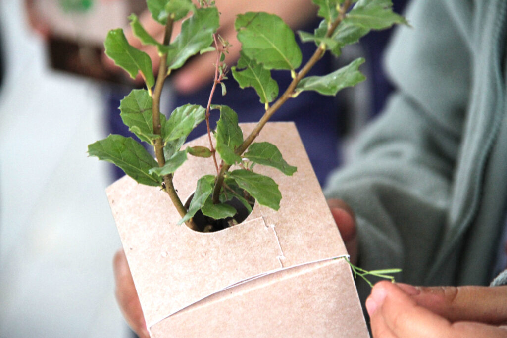 Pro Carton lends support to National Tree Week | Packaging Scotland