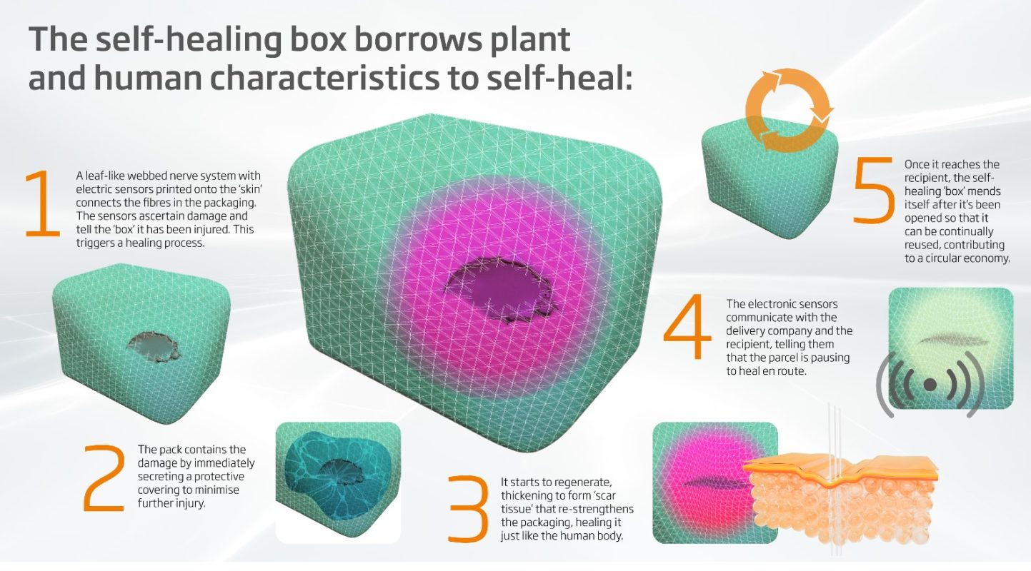 DS Smith predicts 'self-healing' box as packaging innovation evolves ...