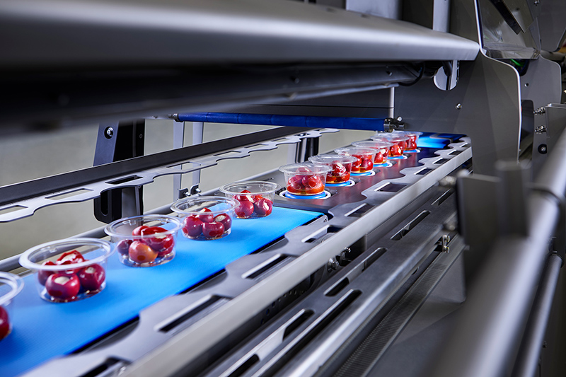 Ishida introduces new tray sealer for high-volume production lines ...