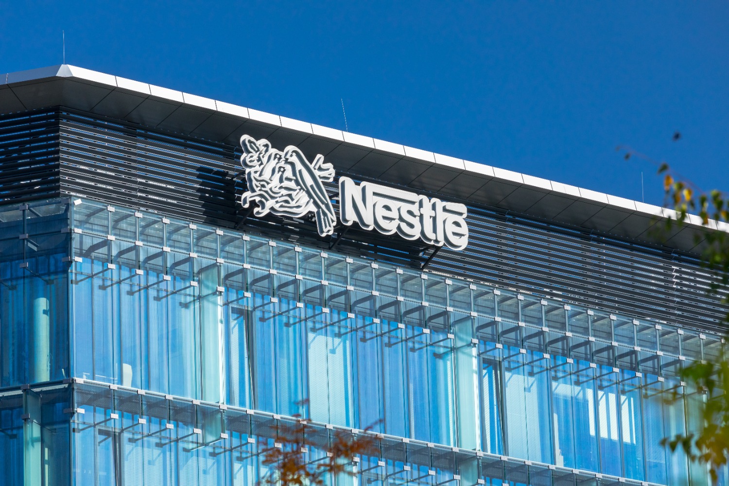 Nestlé to use AI to help develop more sustainable packaging | Packaging ...
