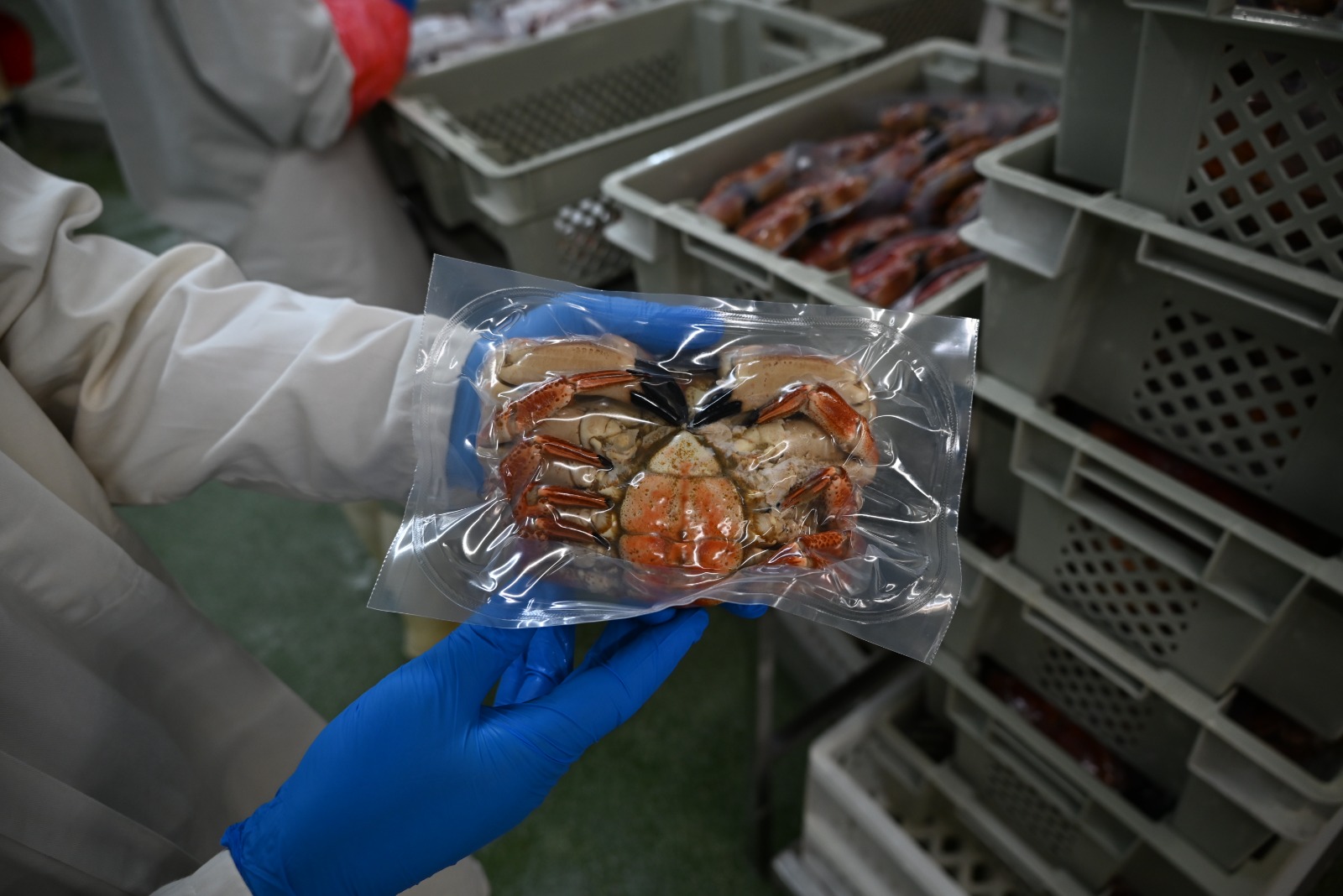 Orkney seafood specialist benefits from new thermoforming machine ...